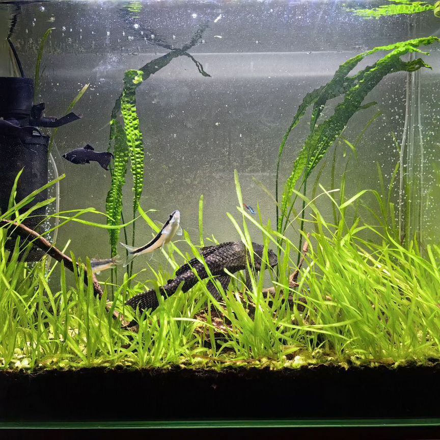 Аквариум 90л