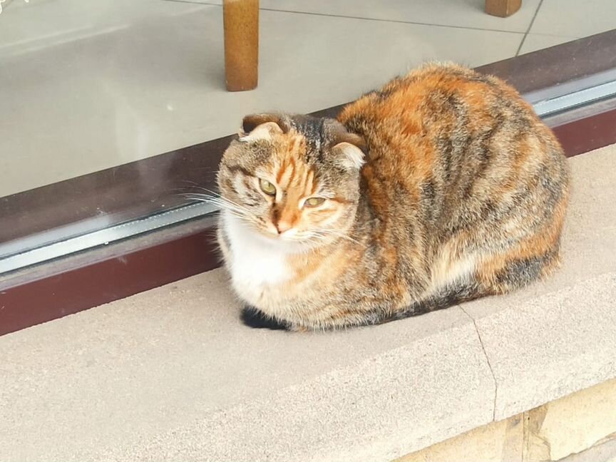 Европейская