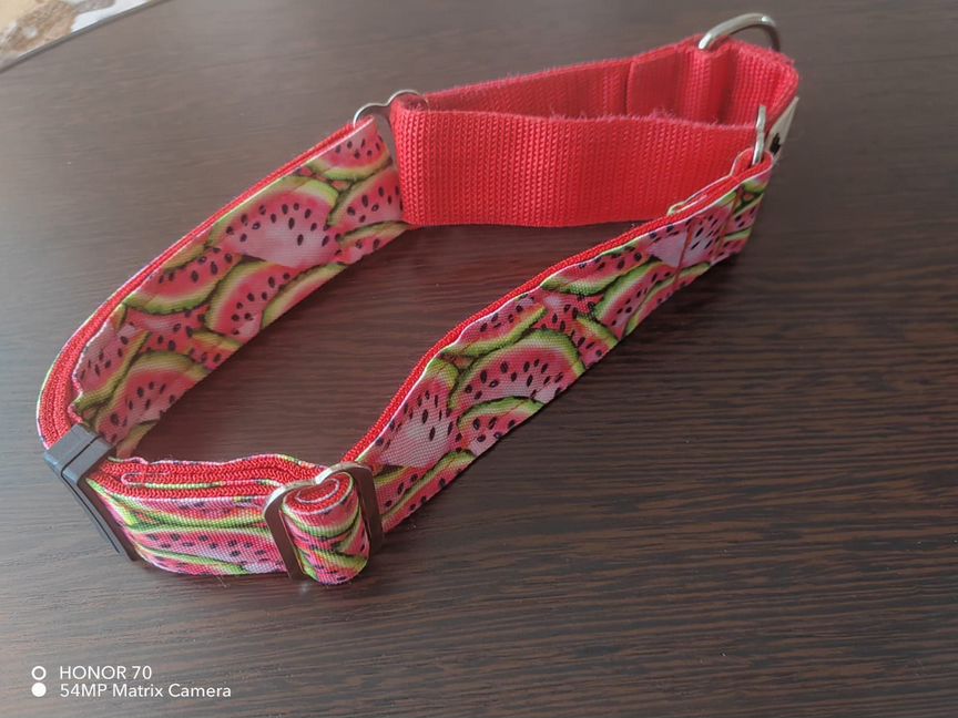 Продается ошейник и поводок