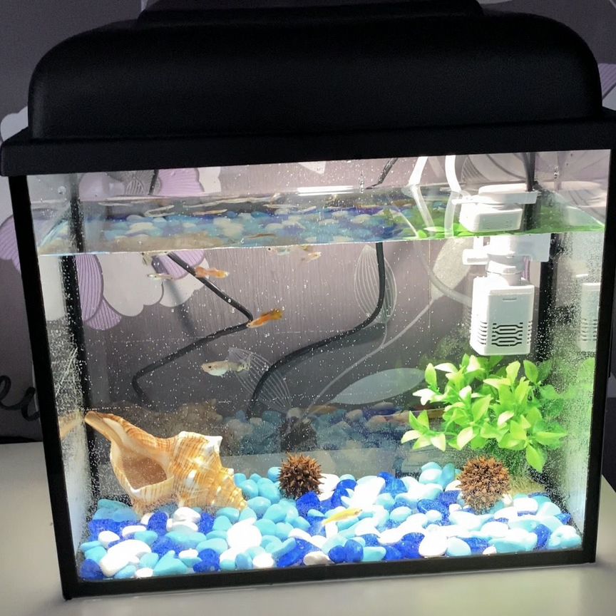 Аквариум 15 литров