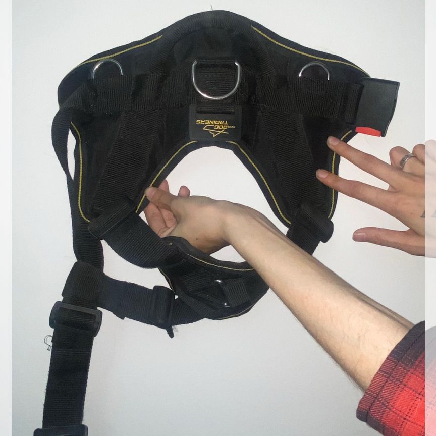 Шлейка для собаки