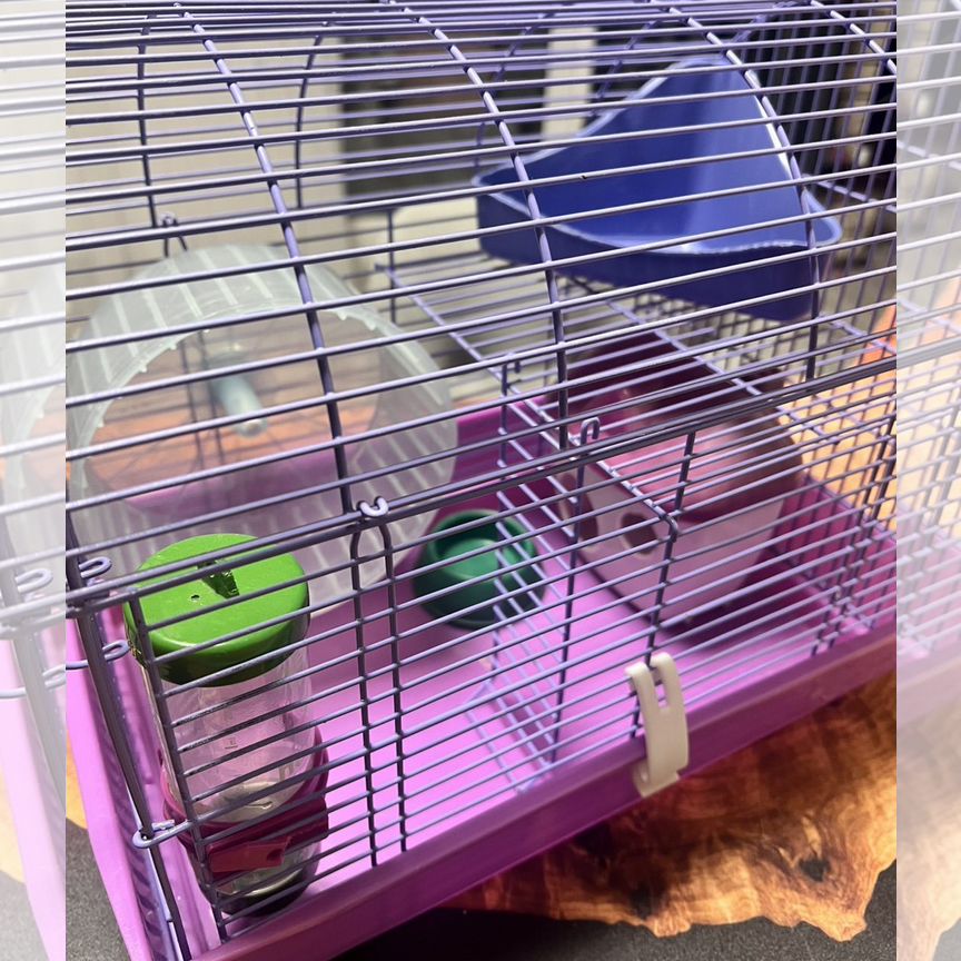 Клетка для грызунов