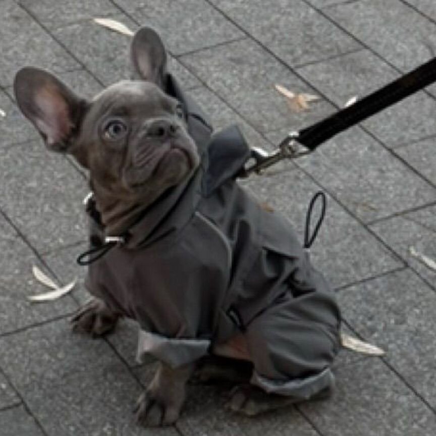 Комбинезон для маленькой собаки