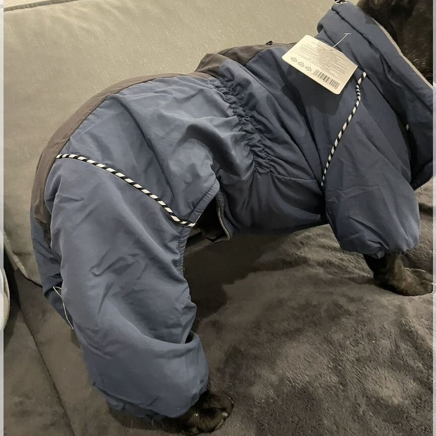 Комбинезон для собак 50 см