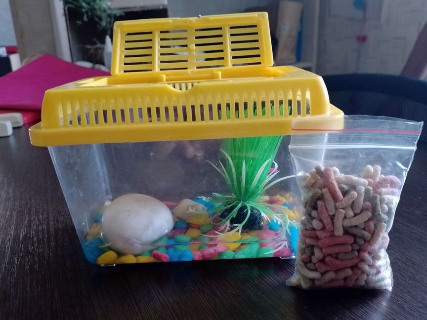 Контейнер / переноска для черепахи