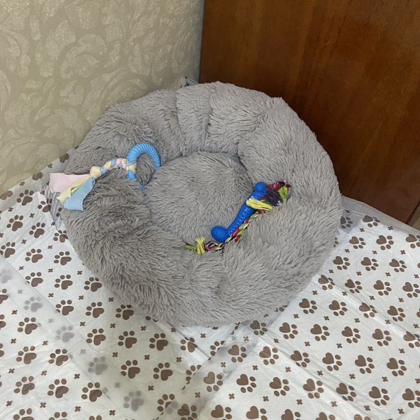 Лежанка для маленьких собак
