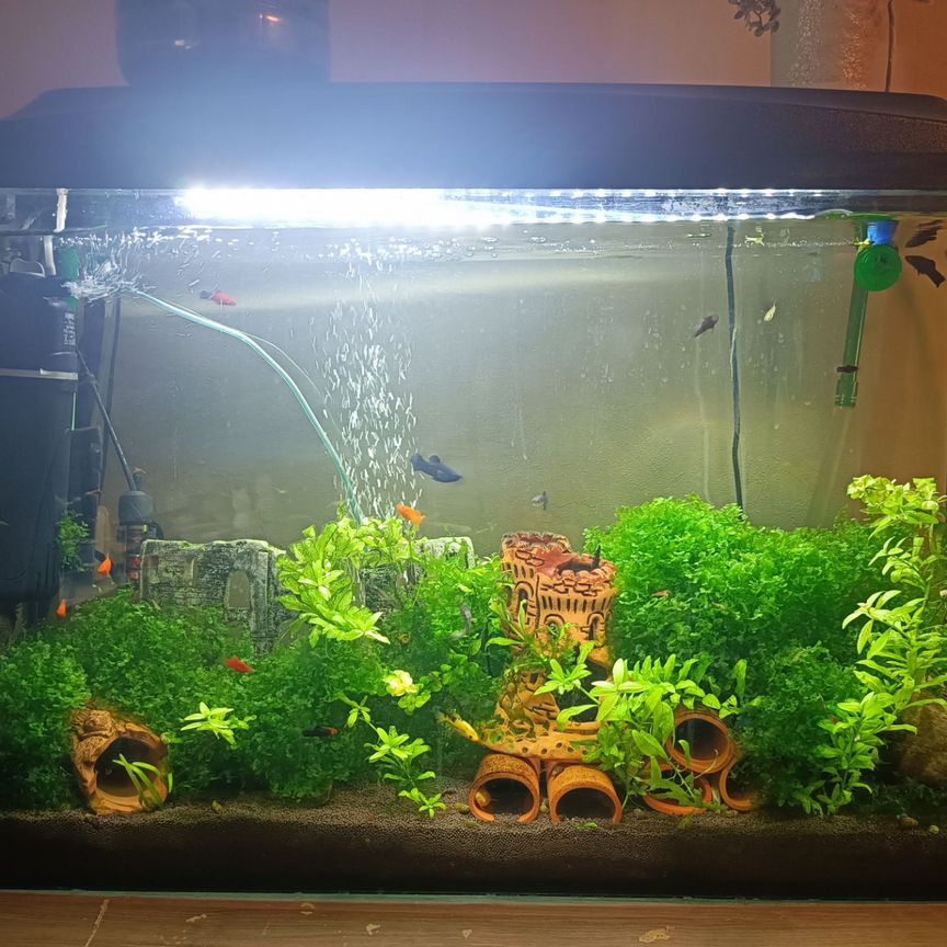Аквариум с рыбками