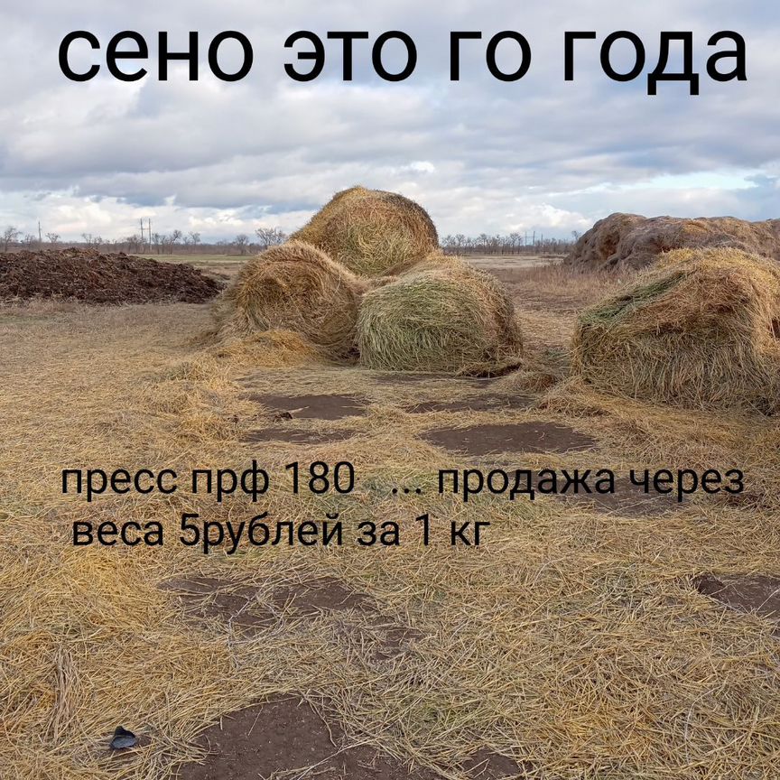 Продам сено в рулонах 5рублей за кг