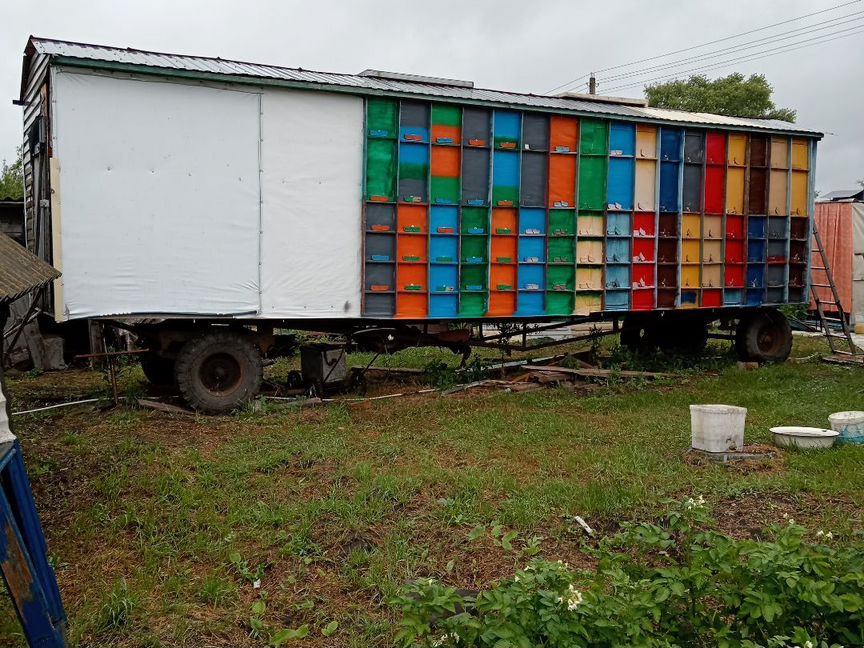 Пчелопавильон