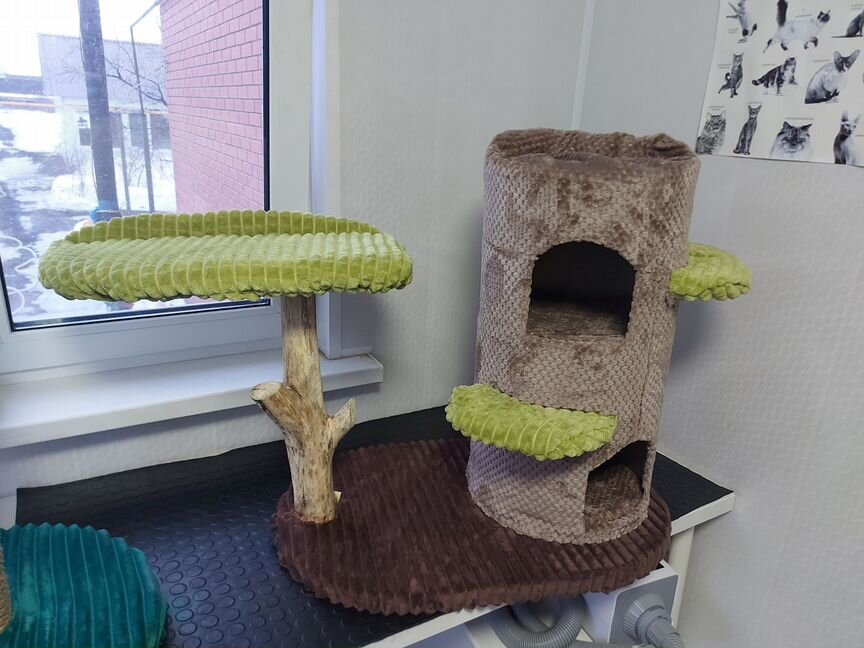 Домик для кошки яркий