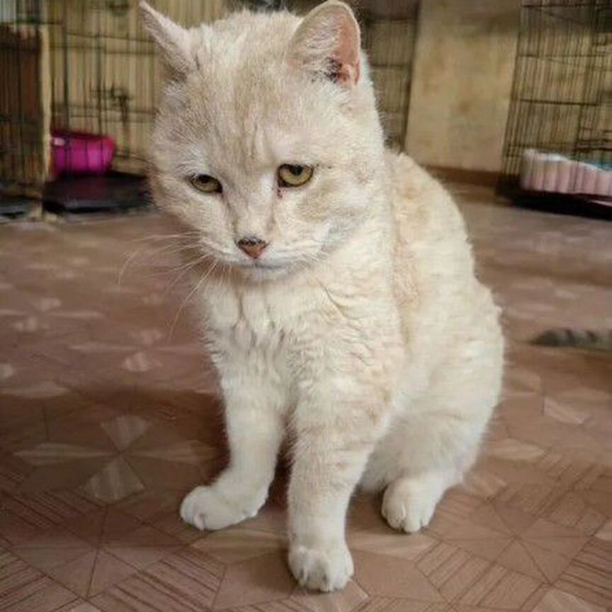 Старичок уже не ждет, он просто доживает эту жизнь