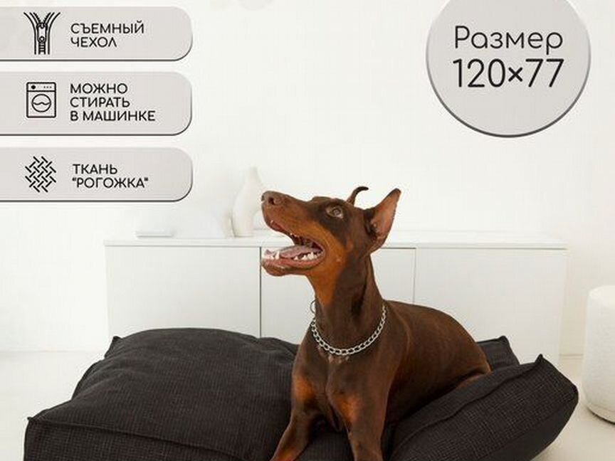 Лежанка для собак средних и крупных пород 120х77