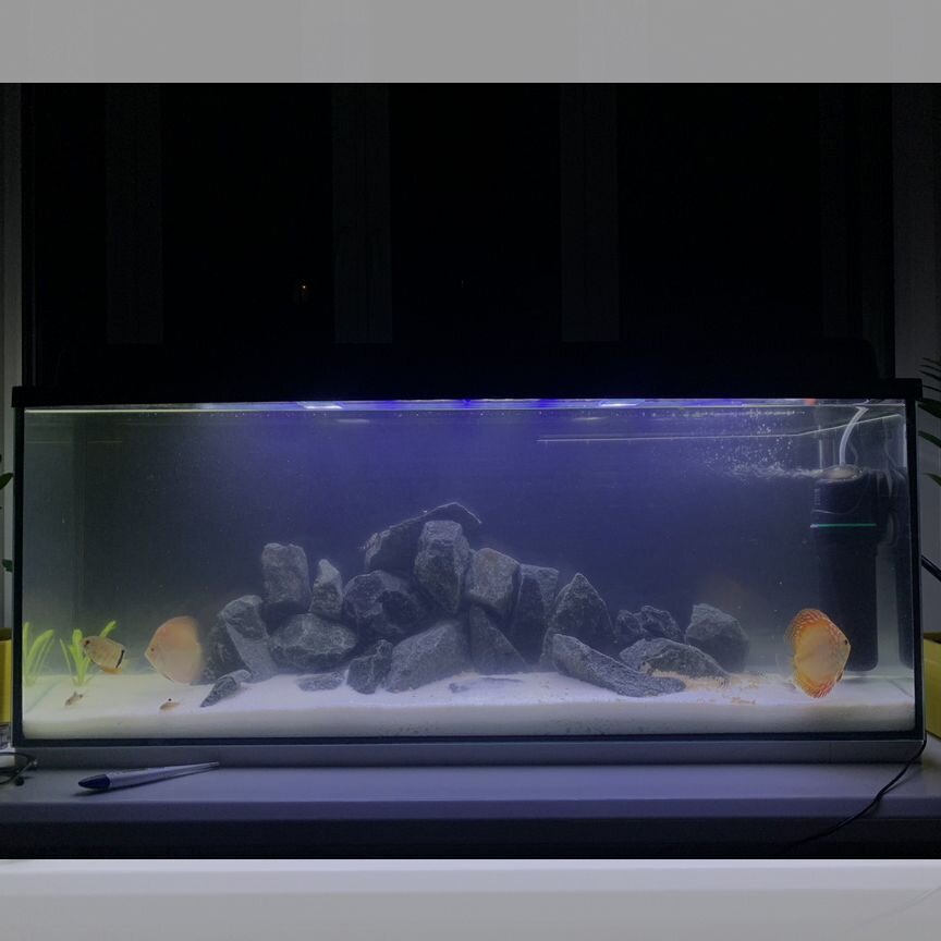 Аквариум 90л