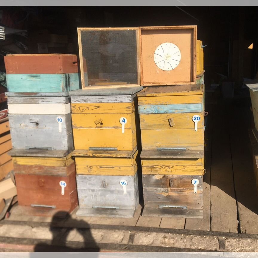 Продам ульи для пчел