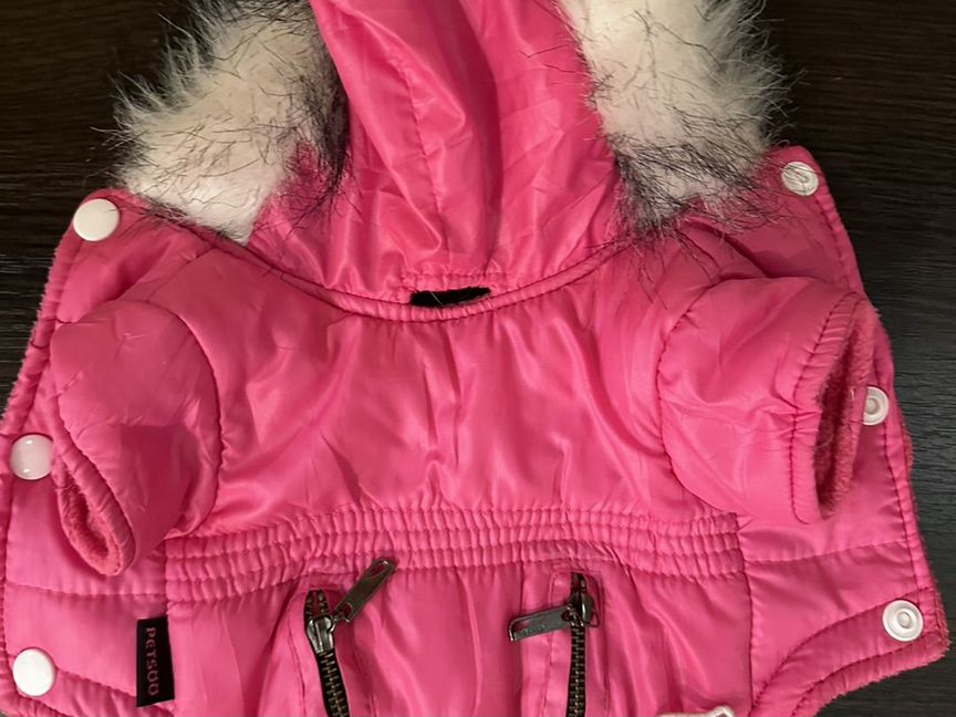 Одежда для маленькой собачки