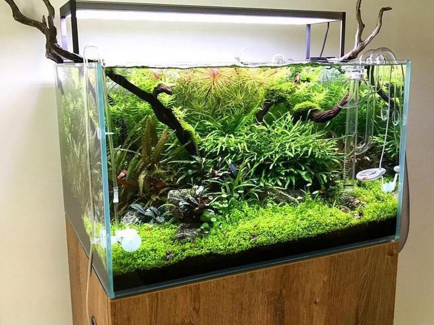 Природный Аквариум под ключ