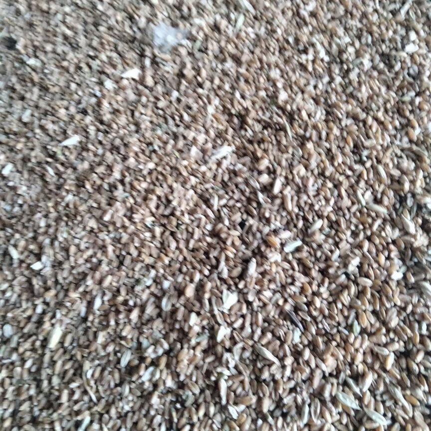 Отходы пшеница сухая