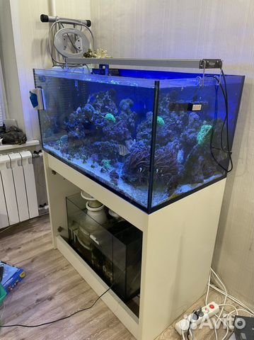 Морской аквариум