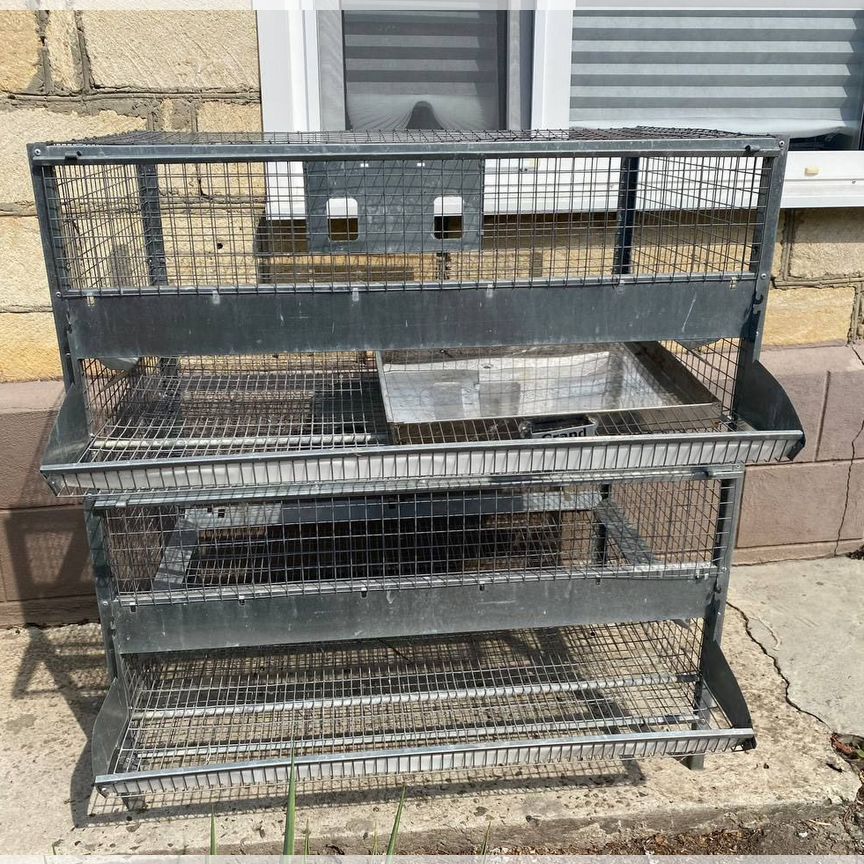 Клетка для кур-несущек Grand 30