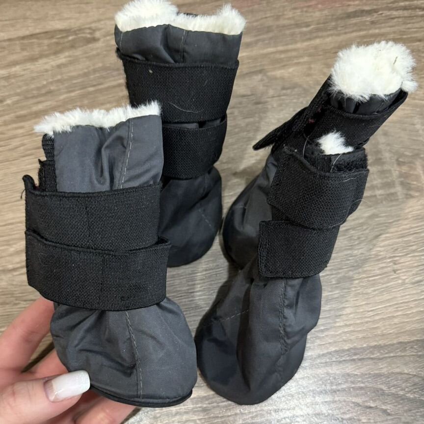 Ботинки зимние для собак