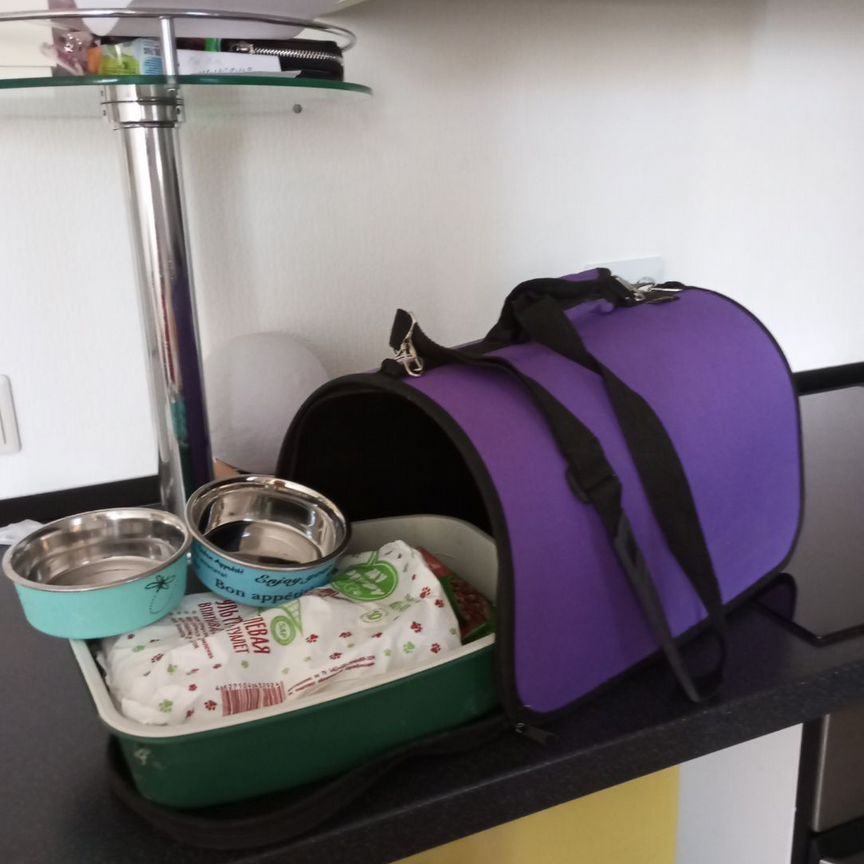 Кошачая переноска