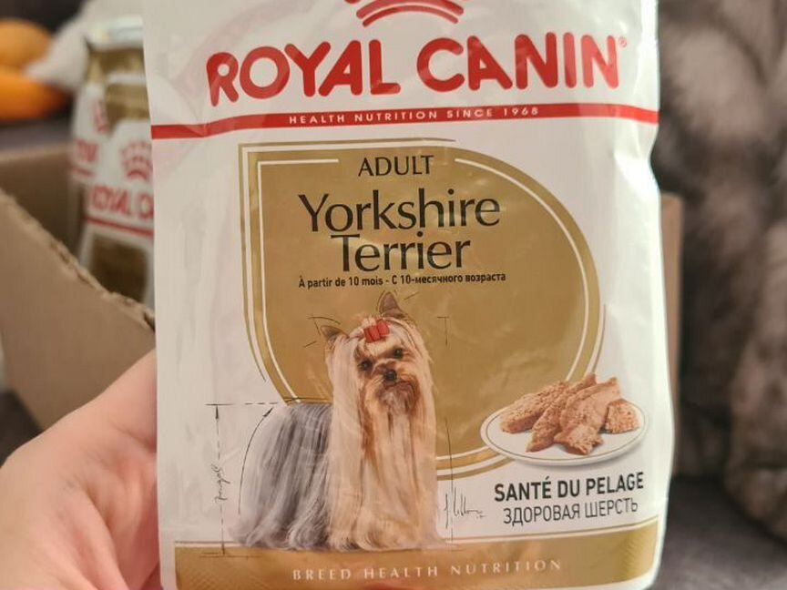 Royal canin влажный корм для йорков :)