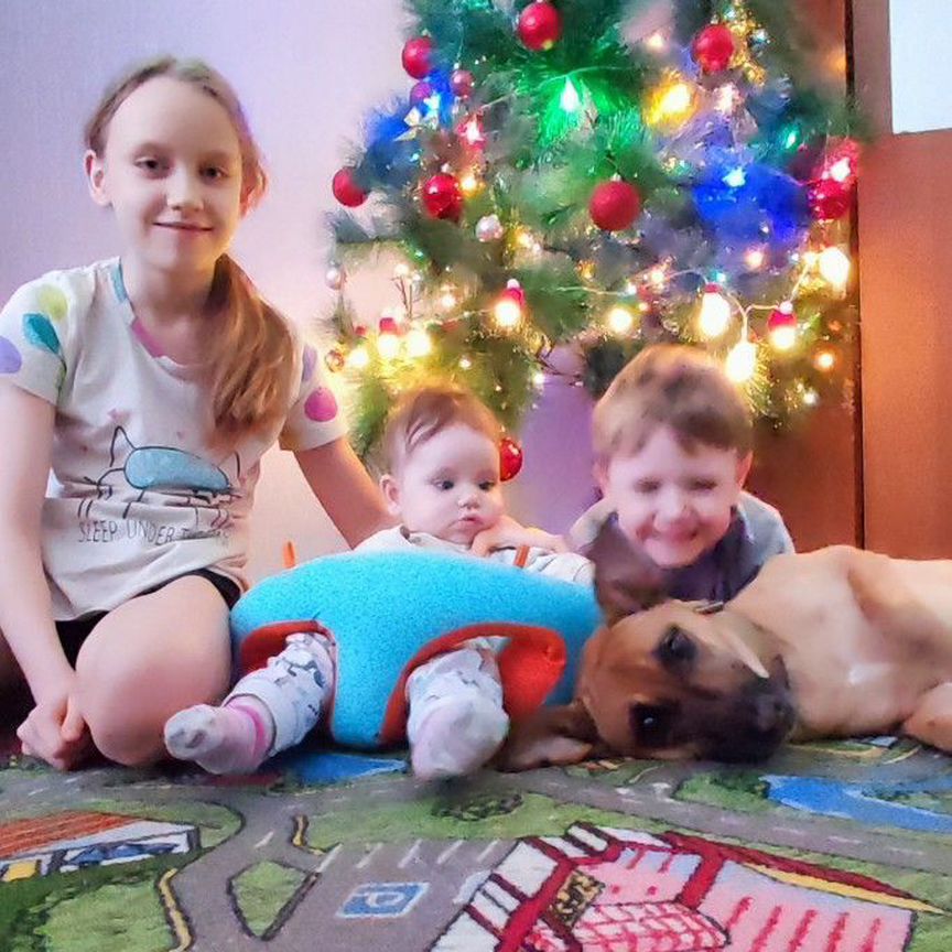 Отдам собаку в добрые руки