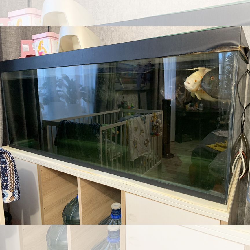 Аквариум 150х60х60