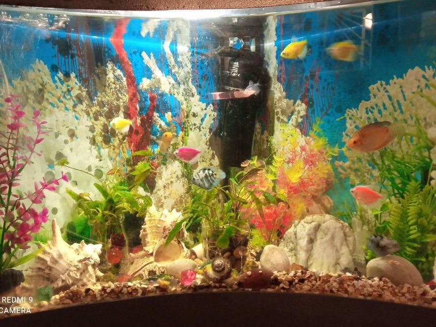 Аквариум с тумбой