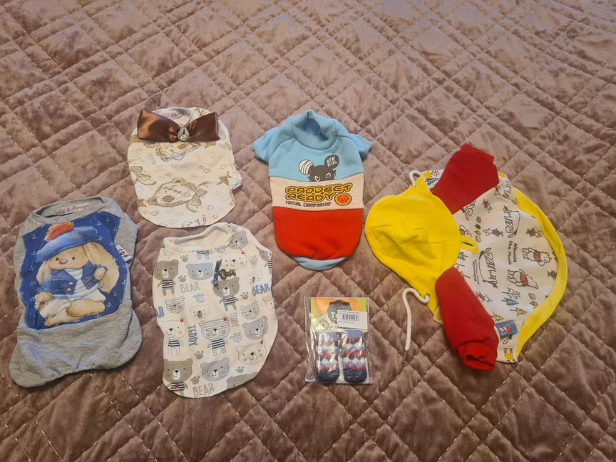 Одежда для маленьких собак шпиц, йорк чихуахуа XS