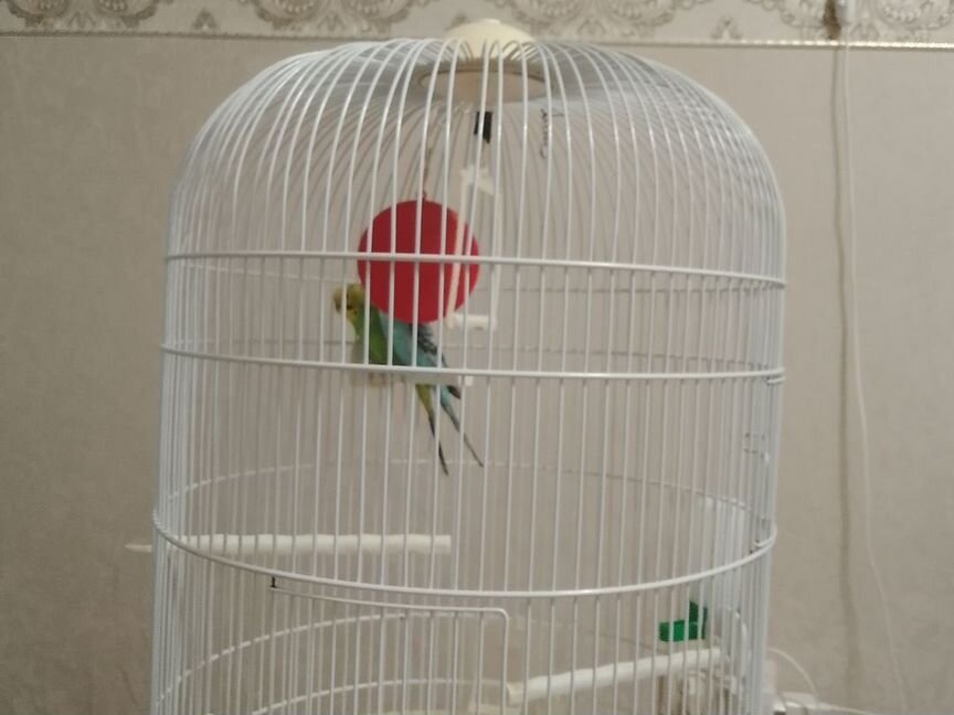 Клетка для волнистого попугая