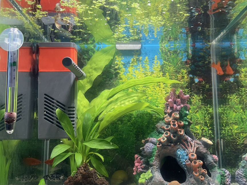 Аквариум 27 литров