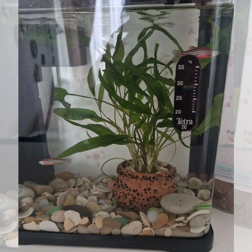 Аквариум 7 литров