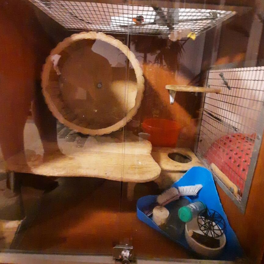 Шкаф витрина для шиншиллы