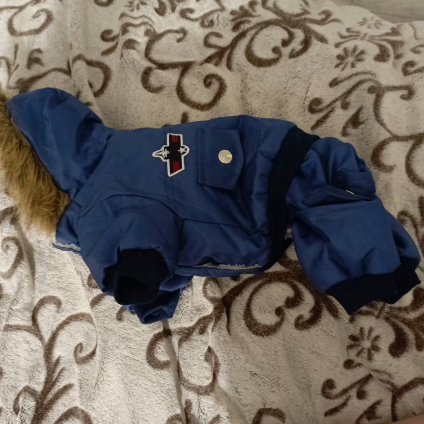 Одежда для маленьких собак м