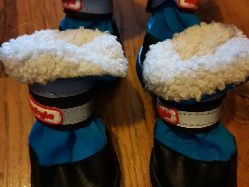 Зимние ботинки для собак