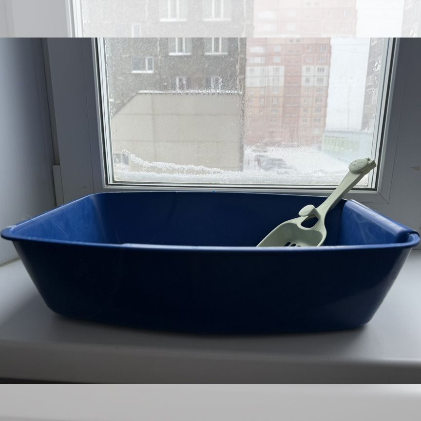 Лоток для кошек бу