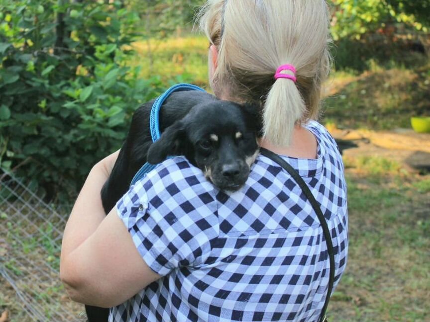 Подарите мне семью