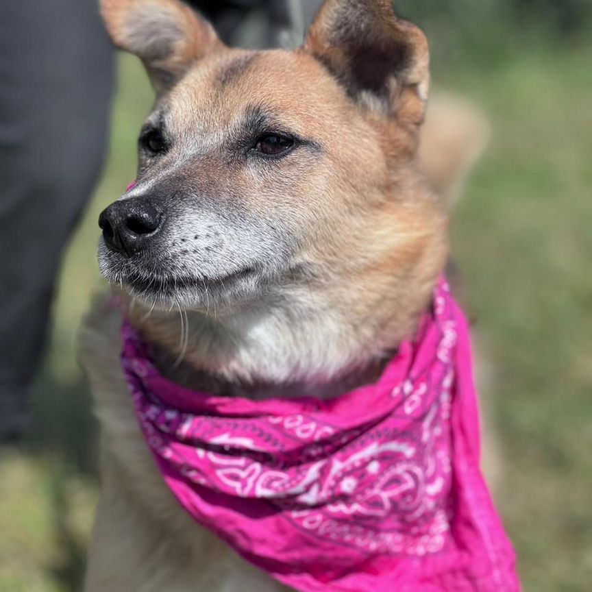 Хороший мальчик Радик живет в приюте