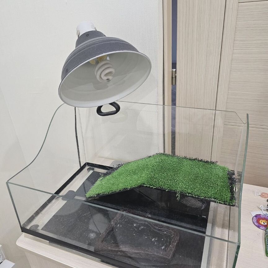 Террариум для черепахи