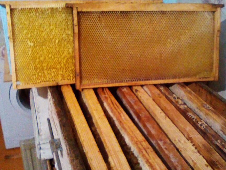 Пчелиные рамки. кормовые, Сушь рут, дадан