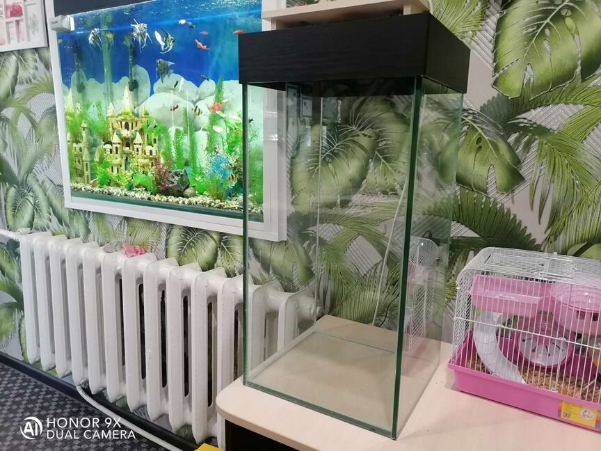 Аквариум