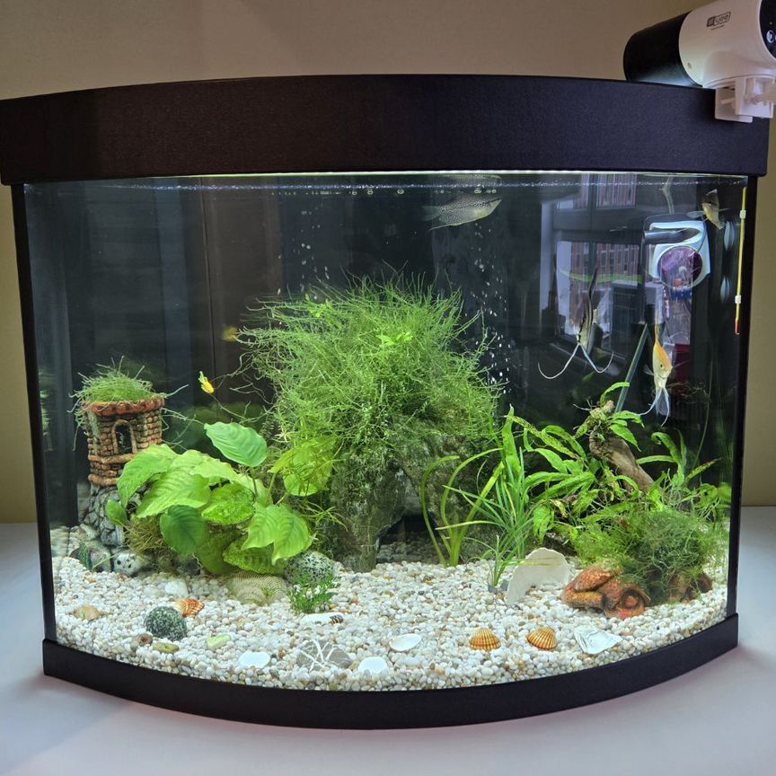 Аквариум панорамный 120 литров с рыбками