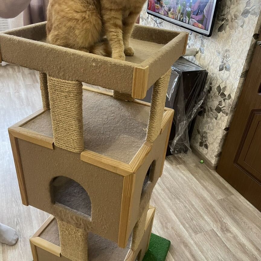 Когтеточка кошкин дом