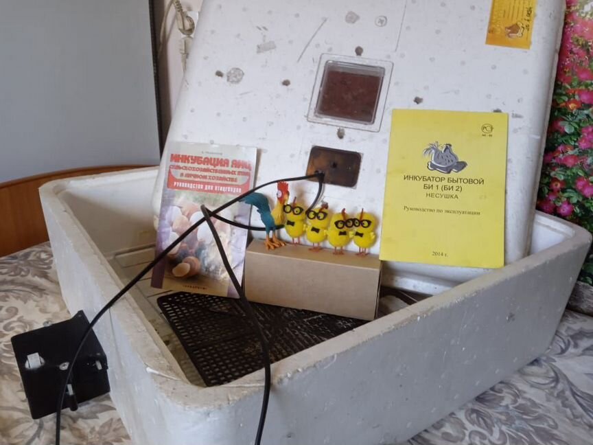 Инкубатор для яиц