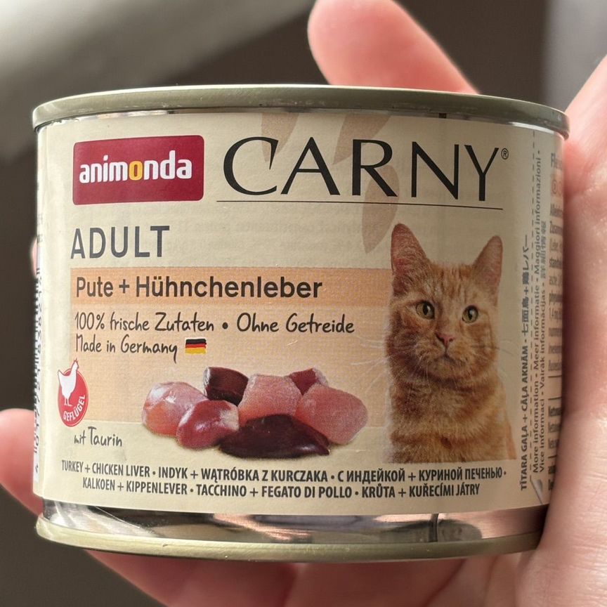 Кошачий корм влажный