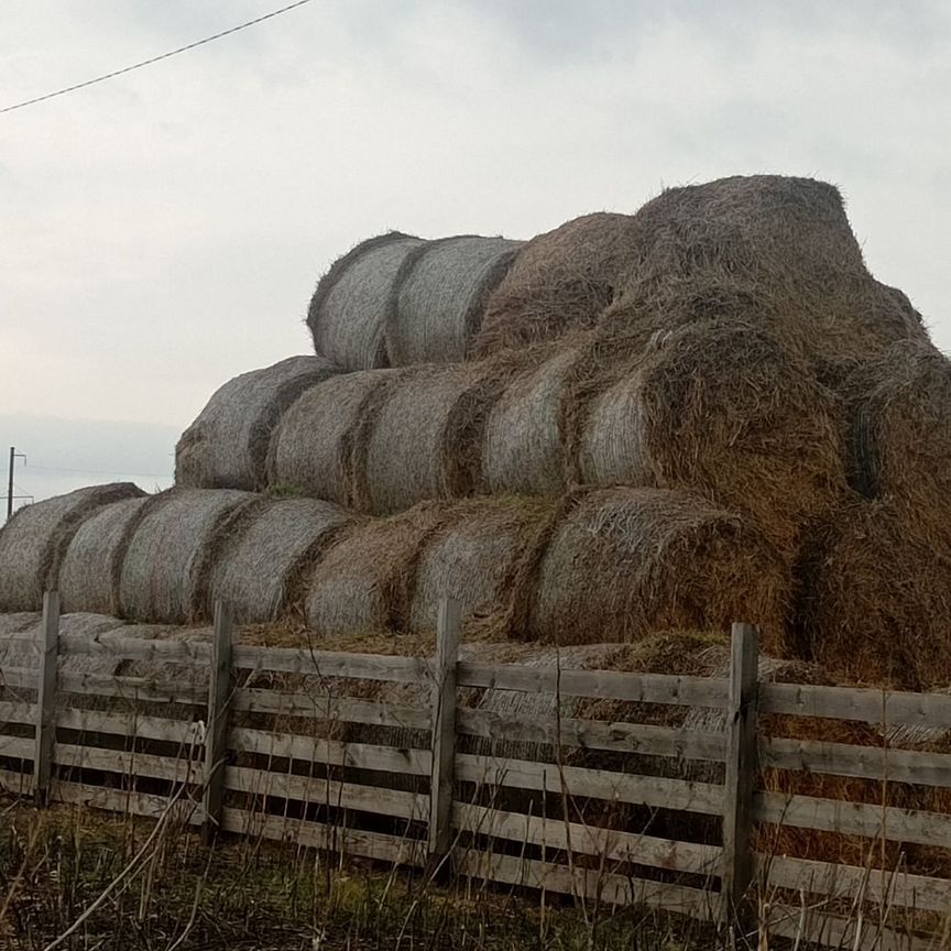 Сено и солома в тюках