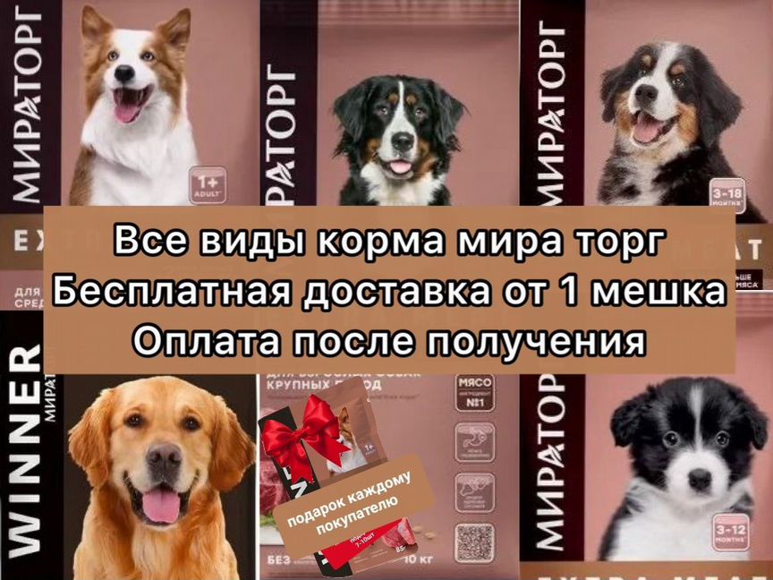 Корм для собак мираторг