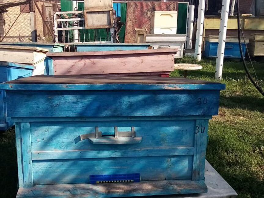 Ульи для пчел