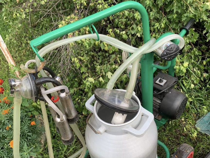 Доильный аппрат